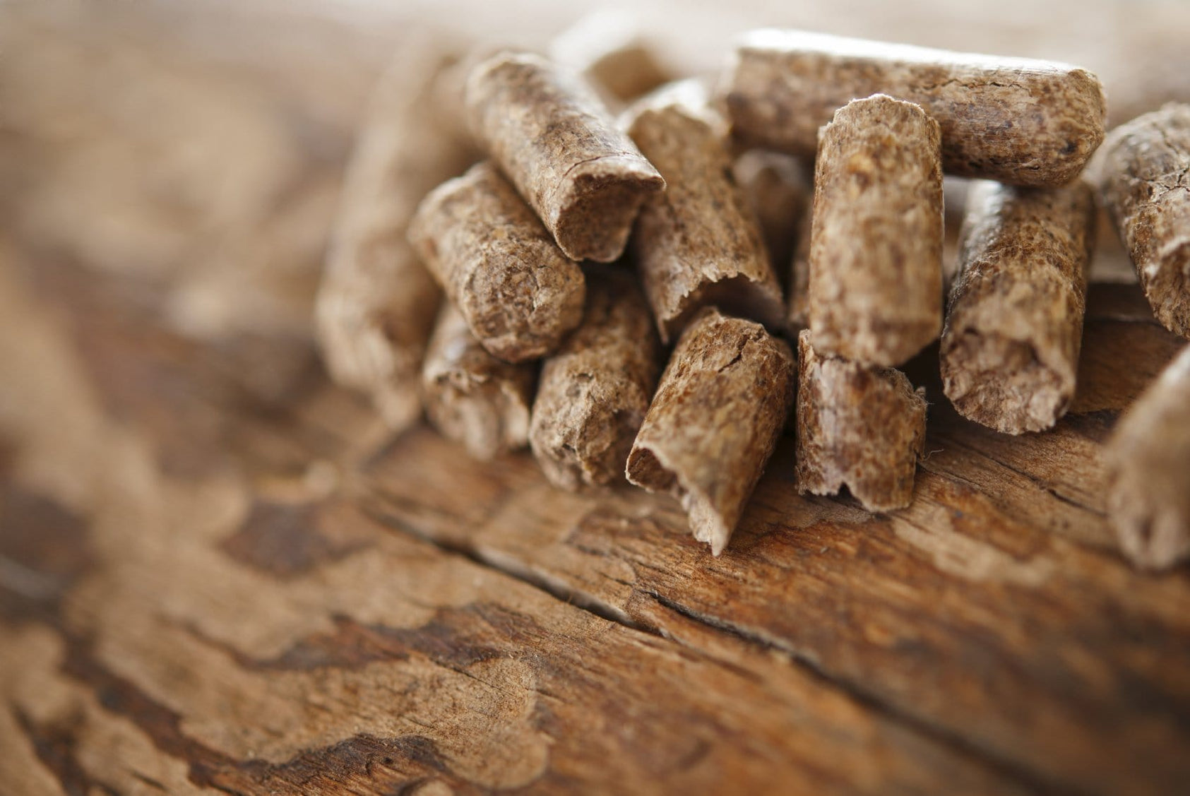 Pit Boss Canadian Maple Blend Hardwood Pellets (40 lb) - 40302 ...