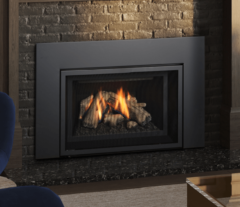 Regency Atmosphere Gi25LE Gas Fireplace Insert — Chadwicks & Hacks